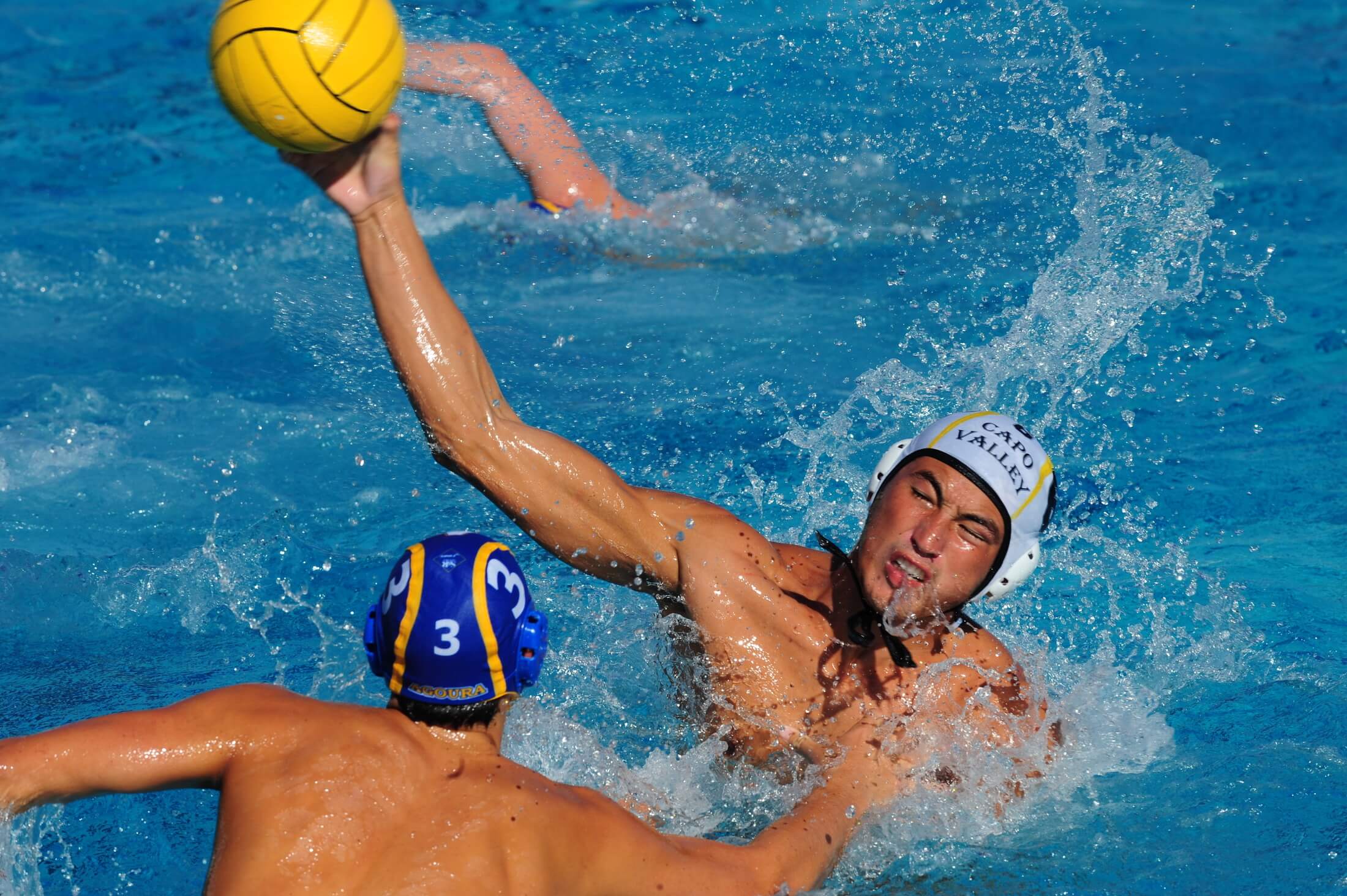 Harvard Water Polo’s Austin Sechrest: Maximum Effort Equals ...