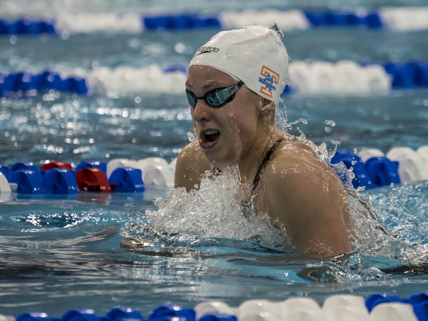 Tennessee Swimming and Diving Takes Down Vanderbilt Women, Georgia Tech ...