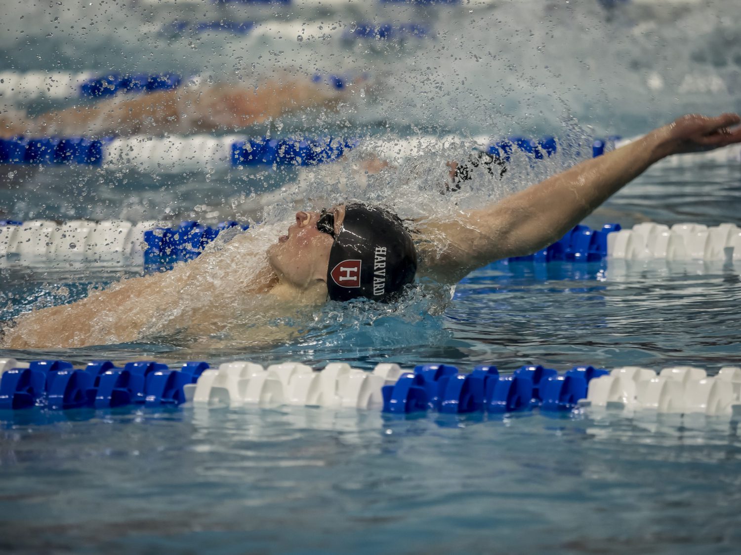 Intrigue Already Building for 2021 NCAA Men's Swimming and Diving Champs