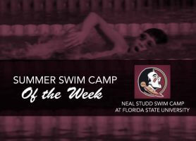 Featured Camp: 2020 Neal Studd Swim Camp at Florida State University ...