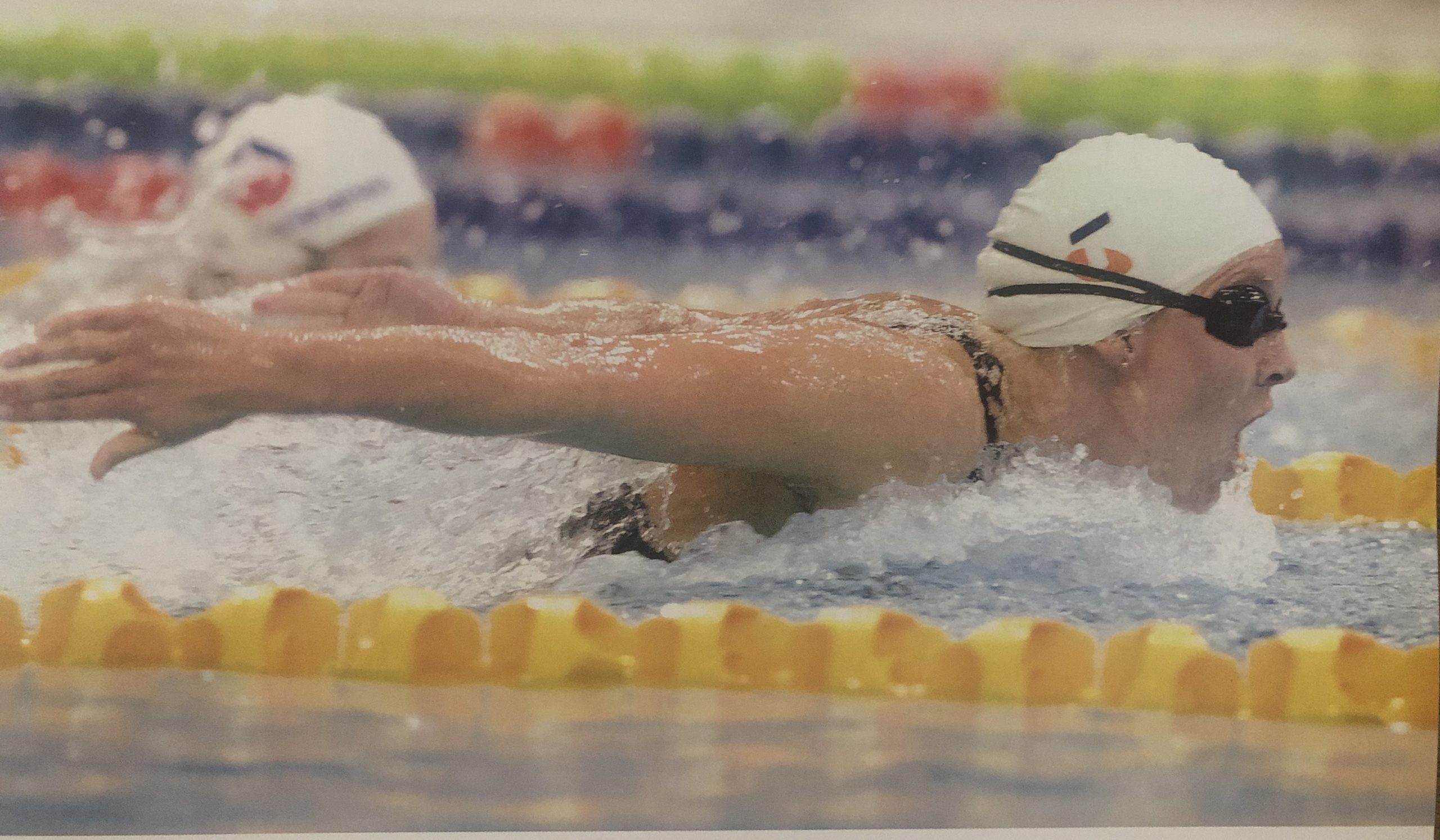 Who's Who Of Australian Swimming Championships: A Century Of ...