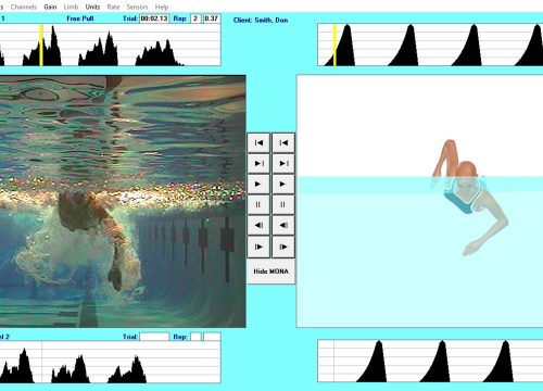 Swimming World Presents “swimming Technique Concepts The Value Of