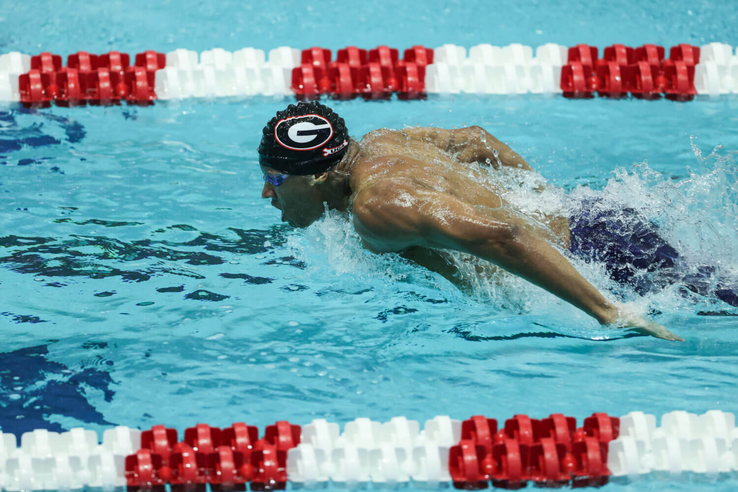 Analyzing the Rise of Georgia Men's Swimming To National No. 2 Ranking