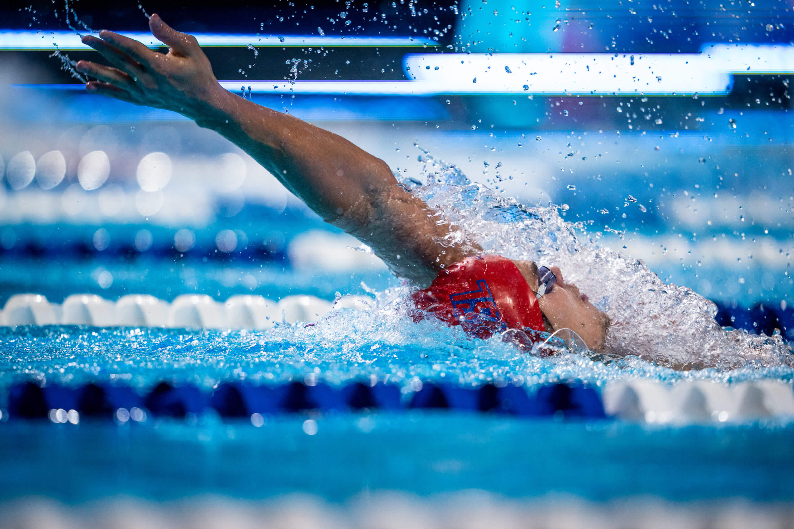 Evgeny Rylov Is MVP As Dominant Energy Standard Remain Unbeaten