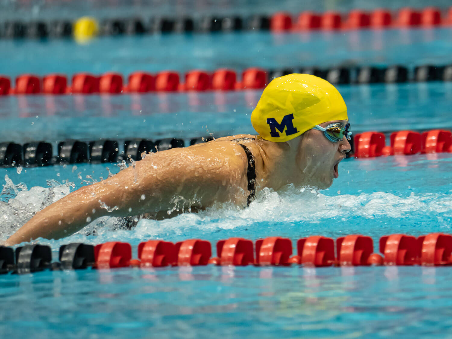 Analyzing the Growth of the Women's 100 Fly and the Race We Never Saw