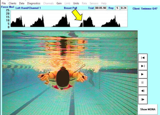 Swimming World Presents Swimming Technique Concepts Breaststroke