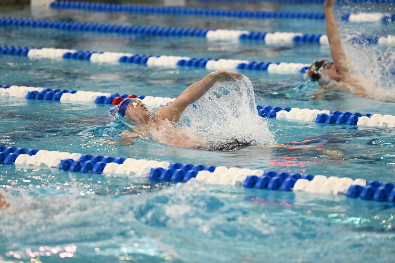 Florida Honors Seniors with SEC Sweep of South Carolina