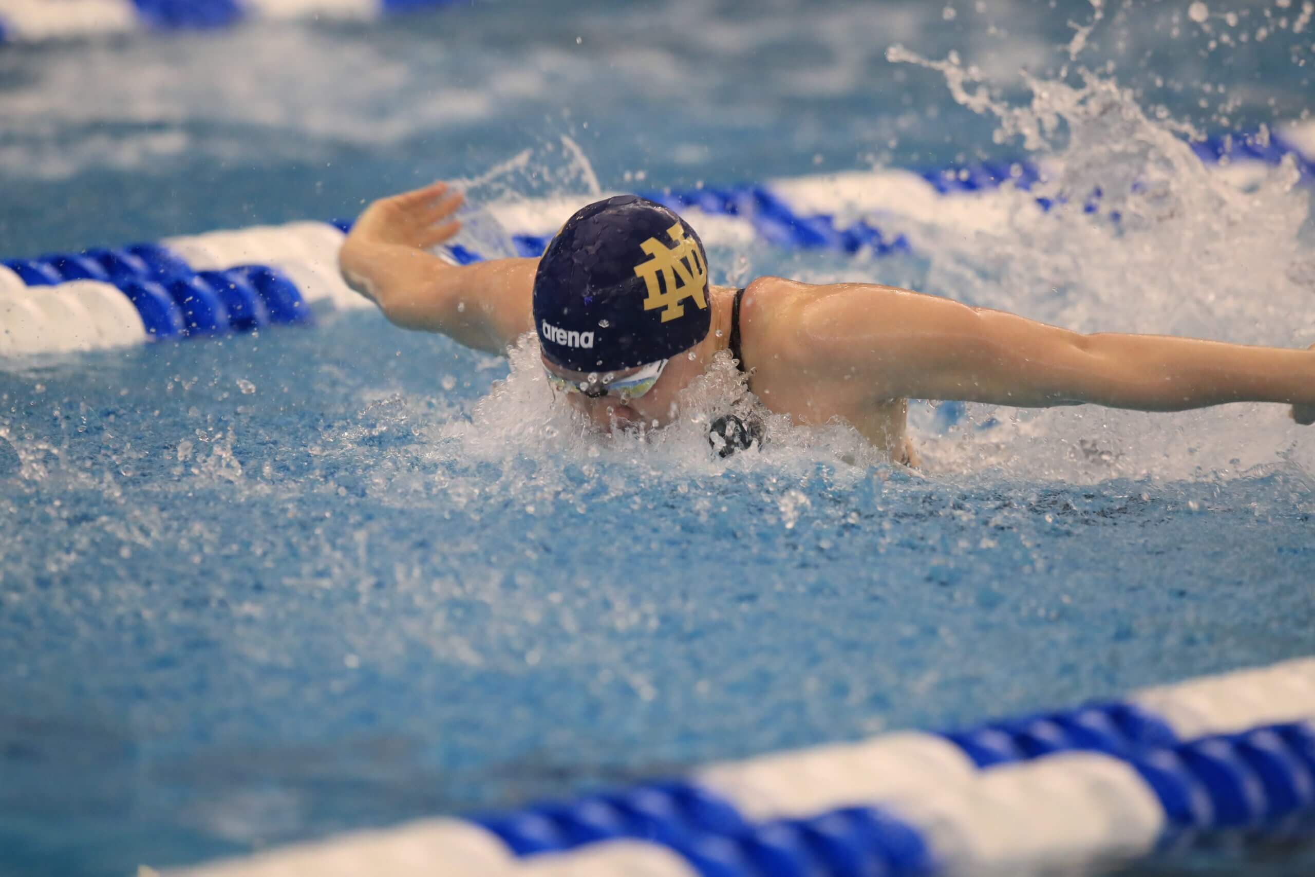 Notre Dame Sweeps Miami Invitational Championships - Swimming World