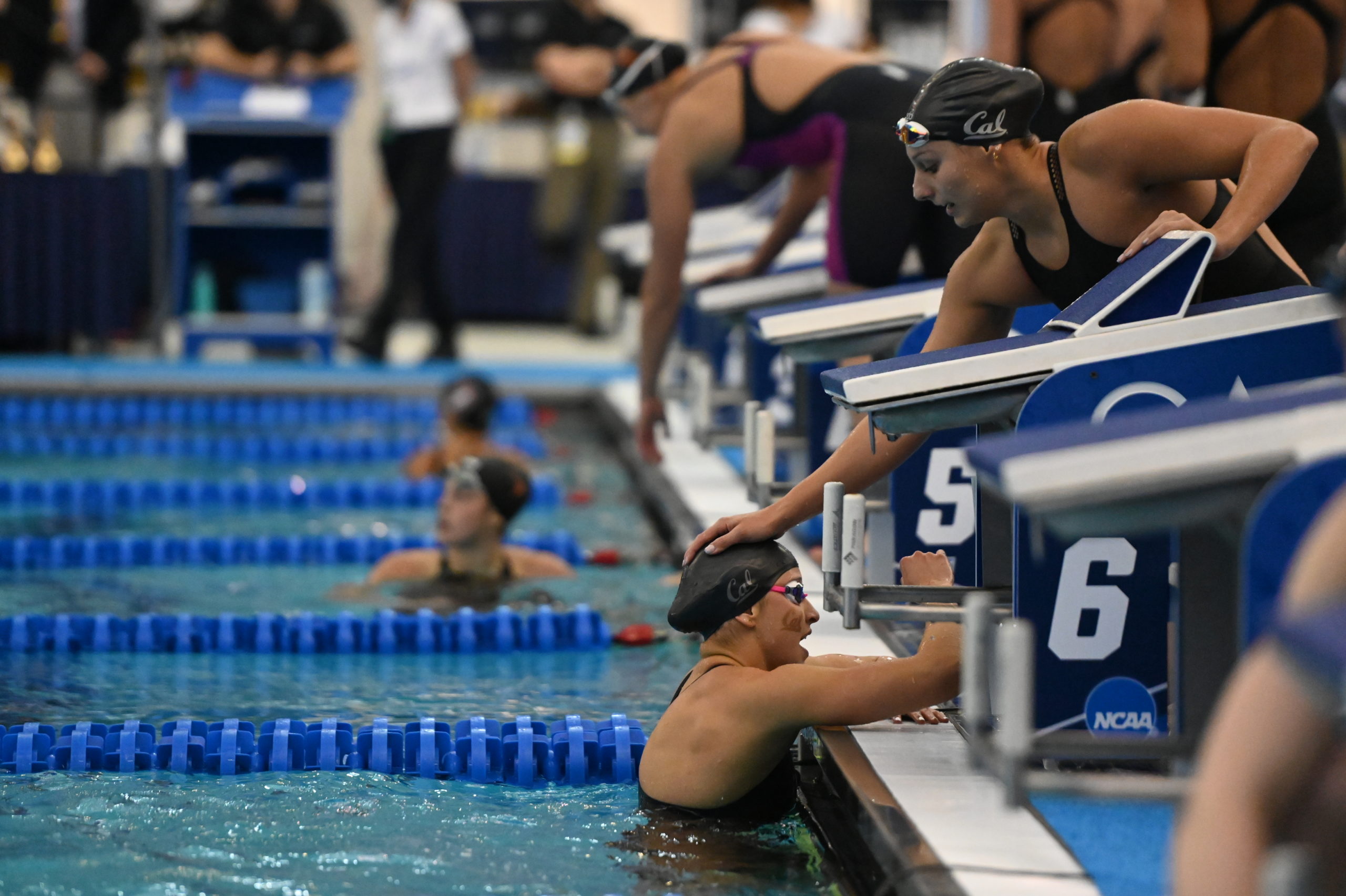 Cal Women Swim Past UCLA to Conclude Pac-12 Showdown Weekend