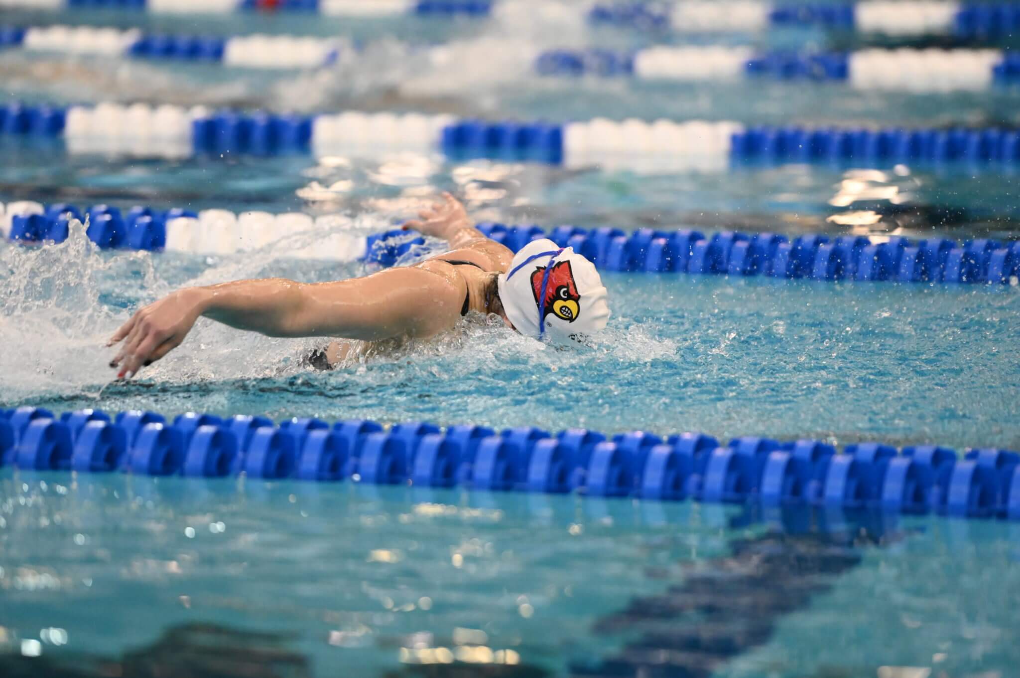 Louisville Sweeps ACC Swimmer of the Week Honors