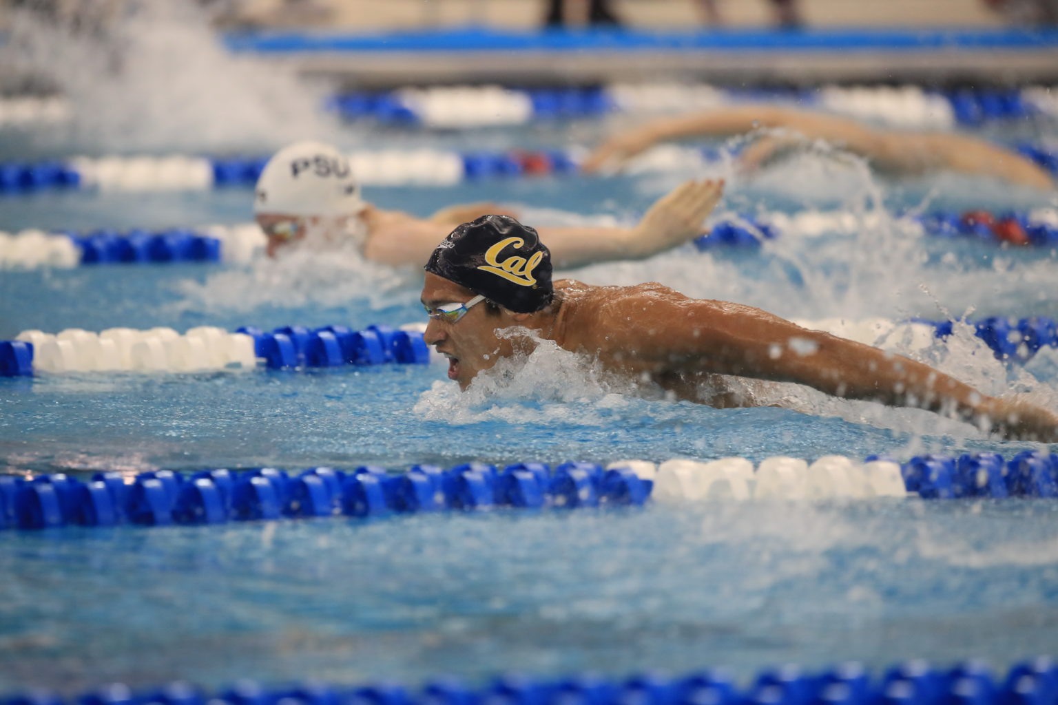 Cal Swimmer Hugo Gonzalez Crowned King of the Pool to Open Season