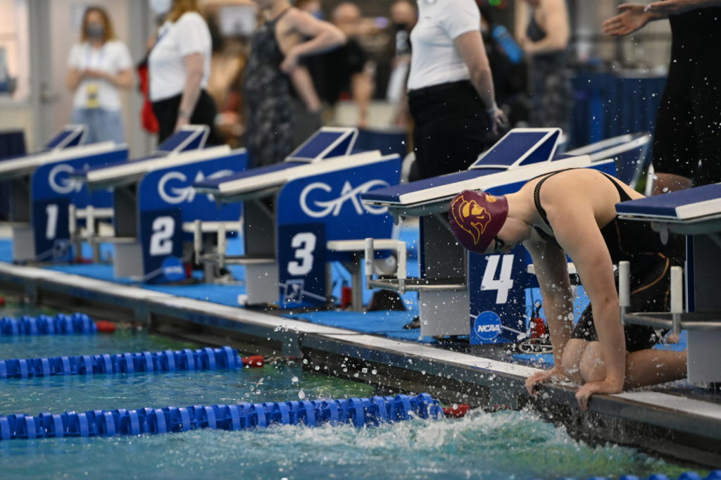 Big Fish in Small Ponds: Attaining Swimming Success in Small States