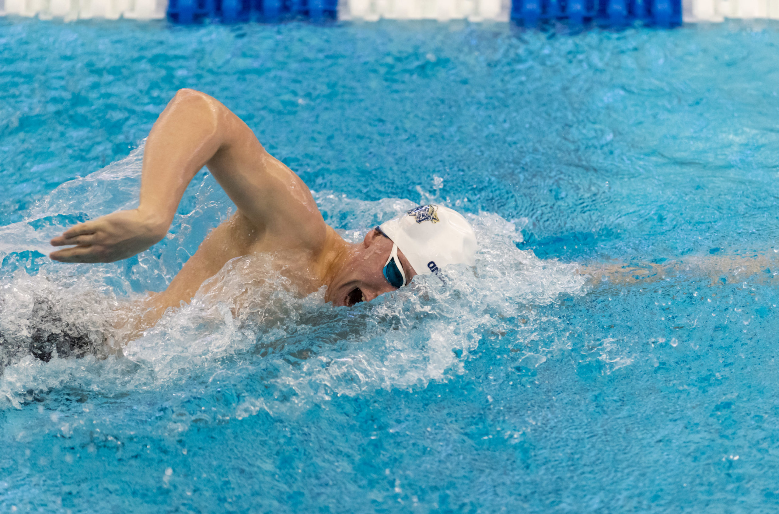 Navy Swimming Sweeps Army in Annual Star Meet