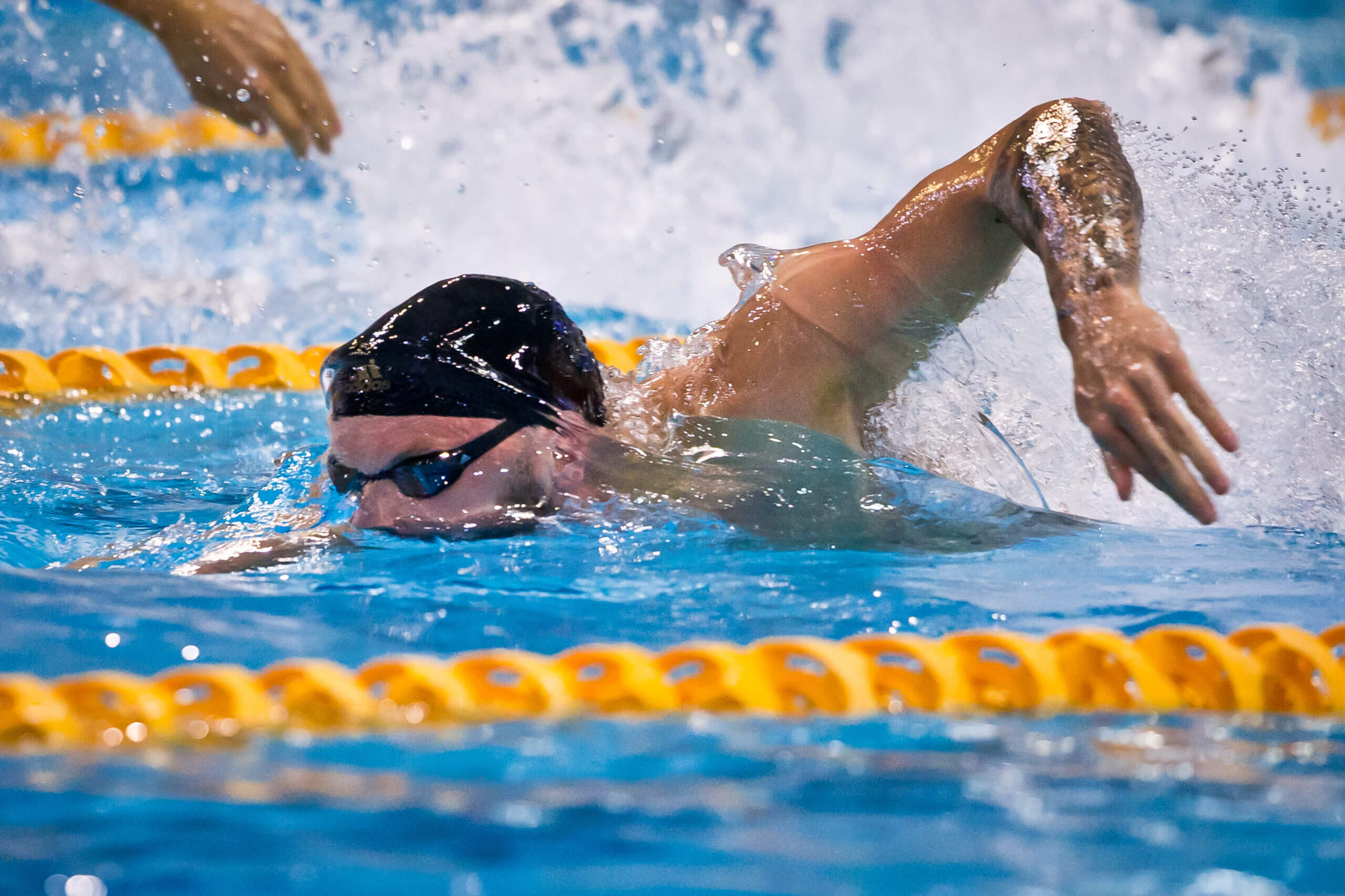 All Eyes On Kyle Chalmers In The 100m Freestyle Final With Zac Incerti ...