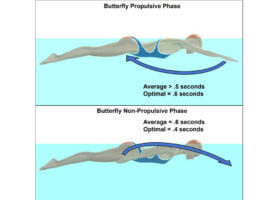Maximizing Swimming Velocity Part 7: Optimal Stroke Cycle For Butterfly and Freestyle
