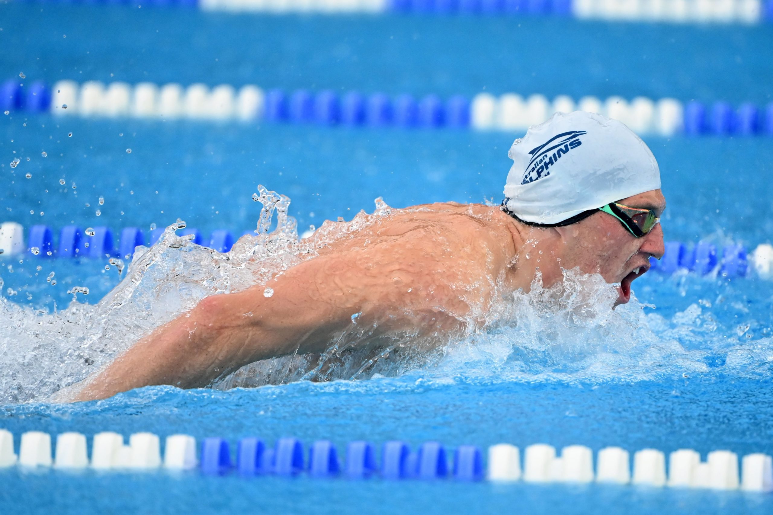 Champions Kyle Chalmers and Mack Horton Lead New Look Dolphins