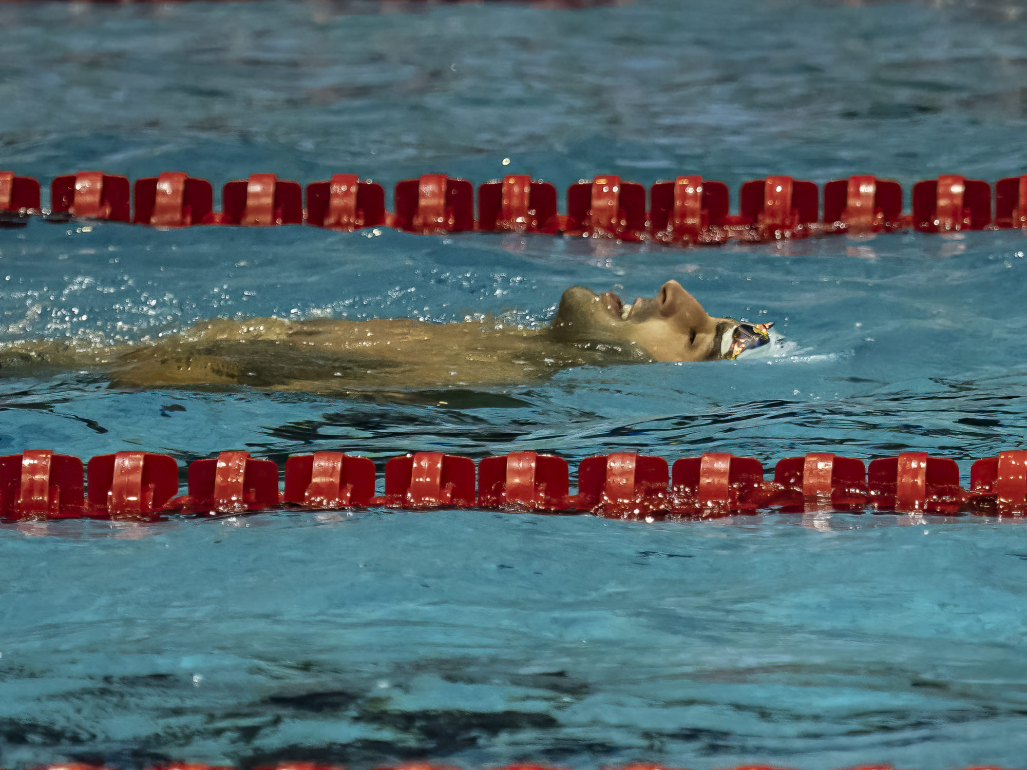 FINA World Cup Indianapolis Day 2 Finals Photo Gallery | Swimming World