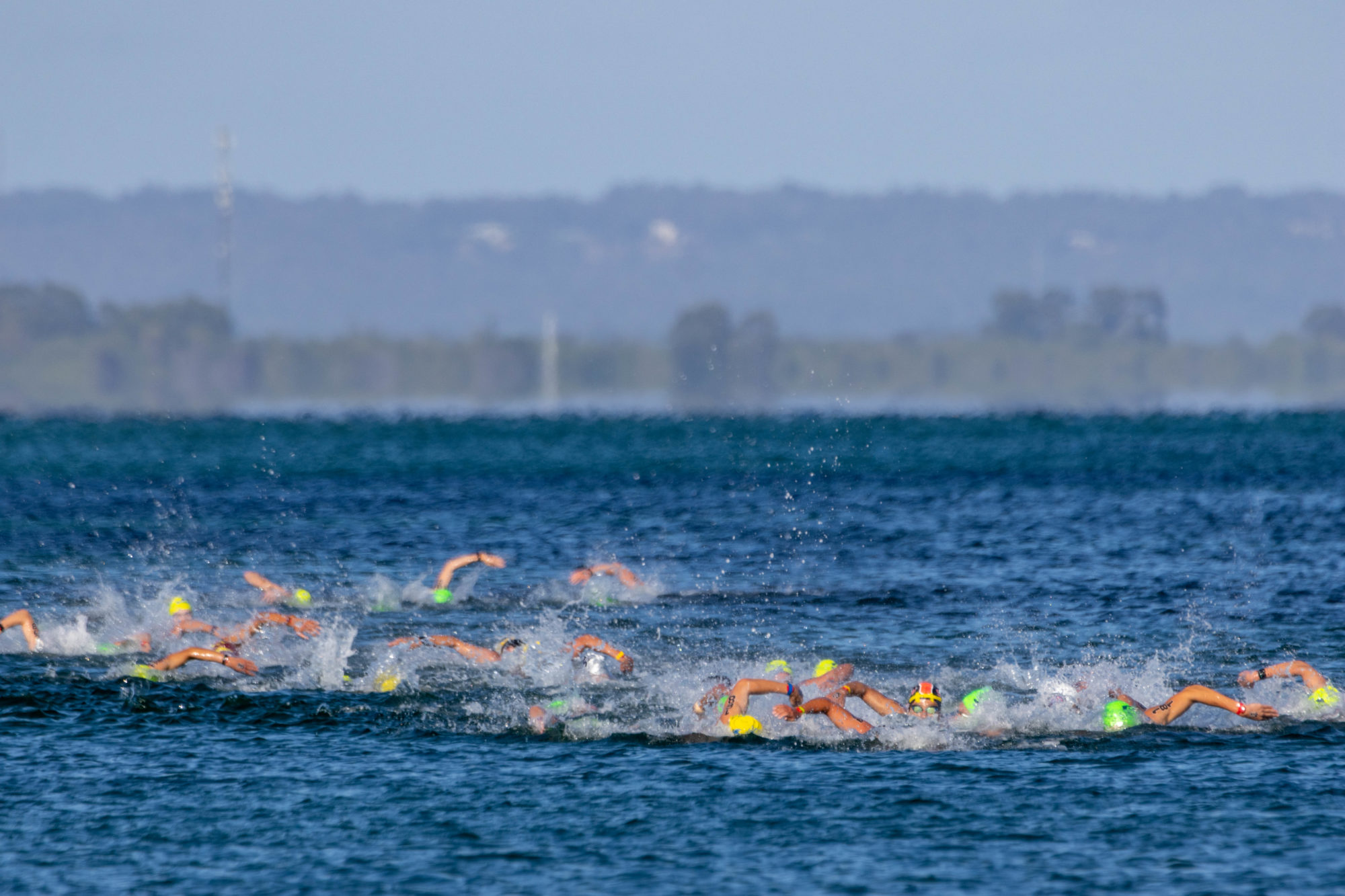 PHOTO GALLERY: Dolphins Pod Joins Australia's Swim Team Dolphins For Busselton 10km Champ ...