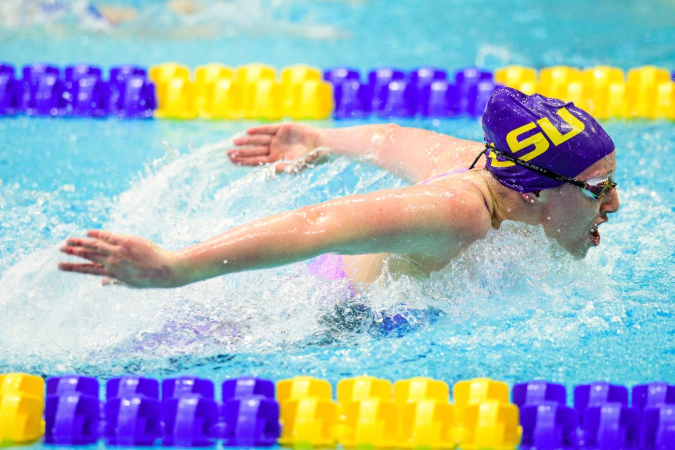 LSU Swimming, Diving Earns Six Dual Victories - Swimming World
