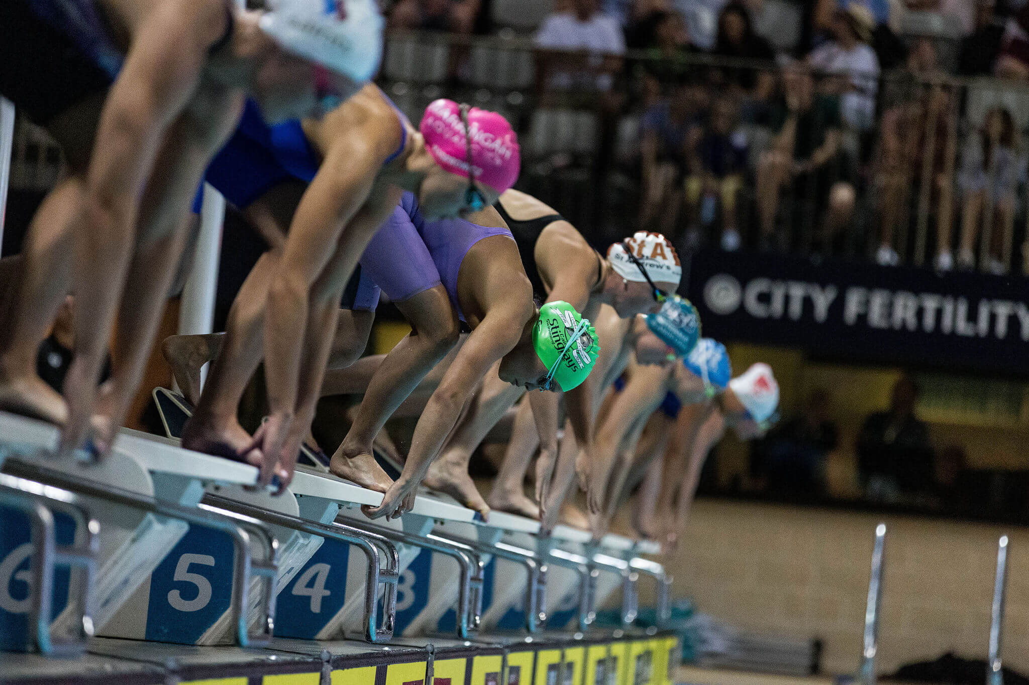 Australian Age Championships: Golden Start By Next Generation St Peters Western Stars Benjamin ...