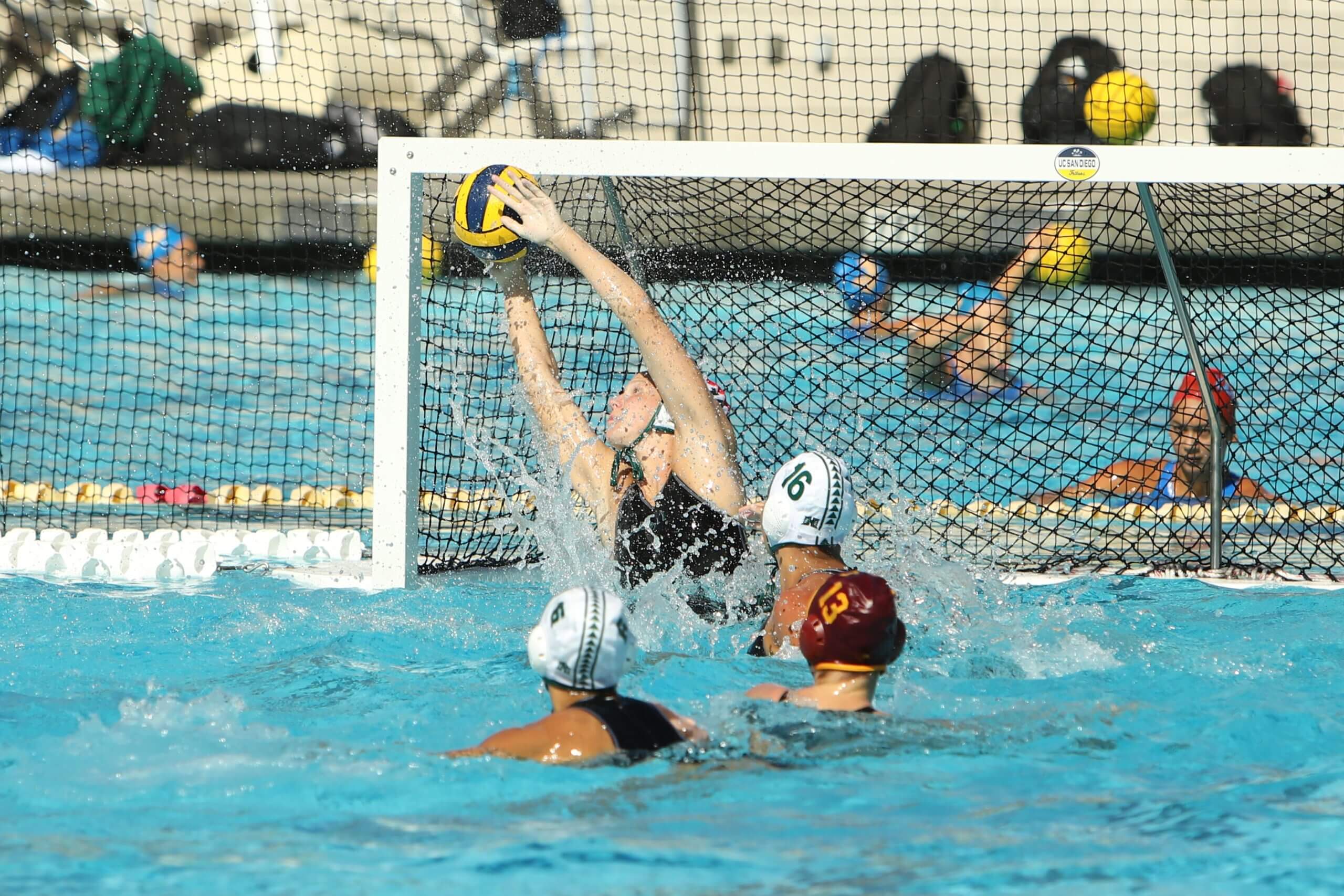 Water Polo Championship Tournament Field Announced