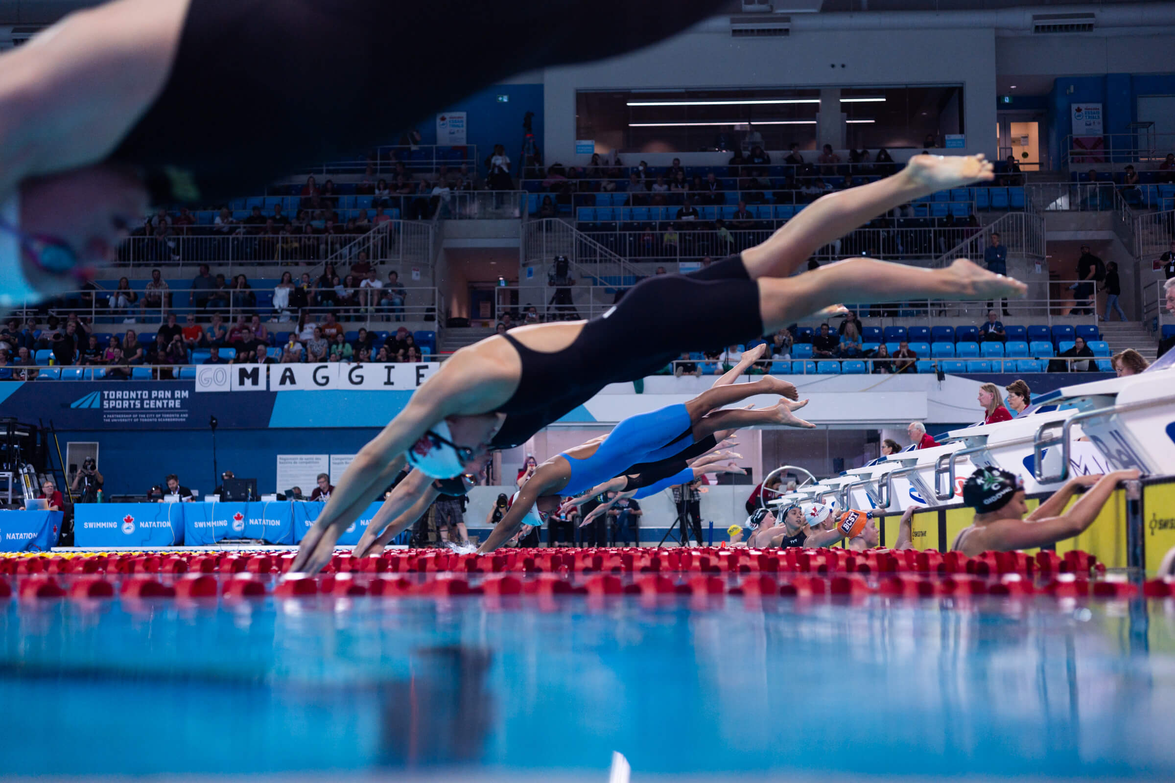 Canadian Coach Brad Dingey Returns Home with Pointe-Claire Aquatic Club