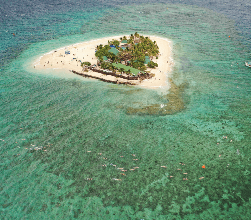 Discover the Ultimate Swimcation: Ocean Swim Fiji - Swimming World