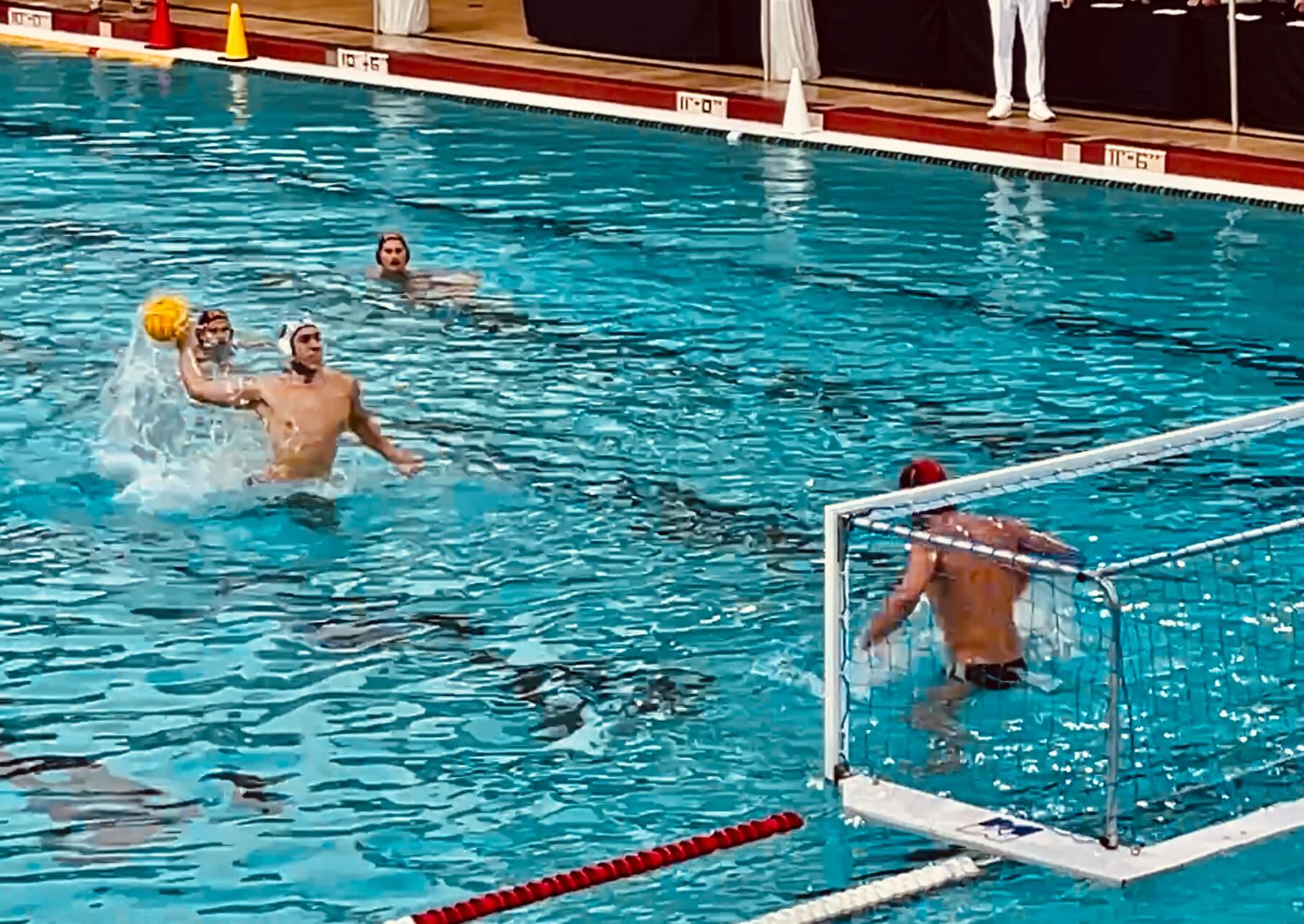 Fordham Advances to Semifinals at NCAA Water Polo Champs