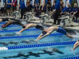 The Art of Taper: Swimming's Key to Peak Performances